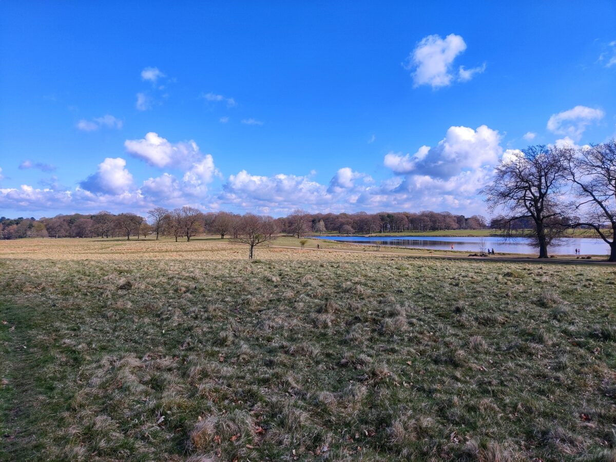 Walking – Porosity